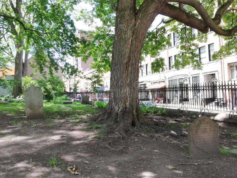 Cemetery Tombstone Gravestone and Tree Editorial Image - Image of tree ...