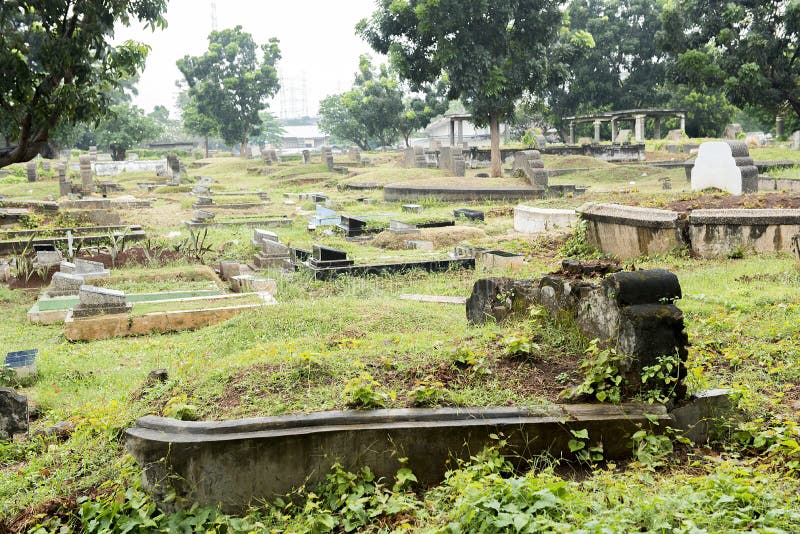 Cemetery with Trees and Many Tombstones Stock Image - Image of burial ...