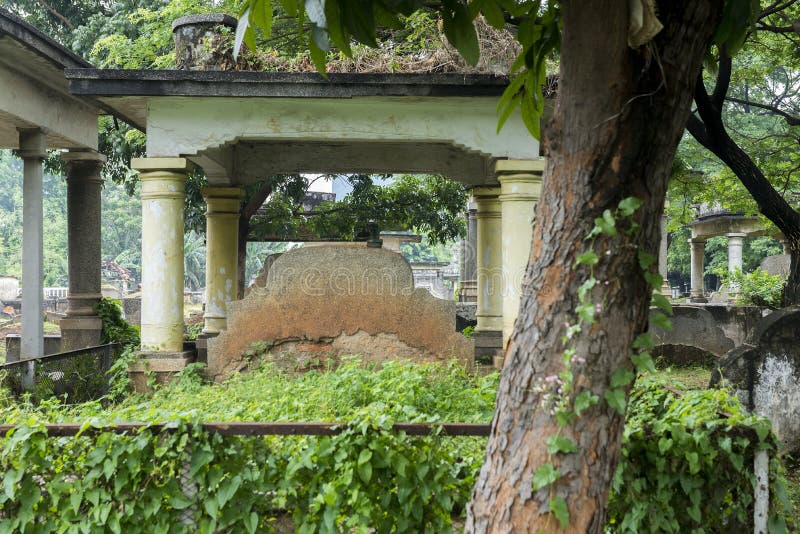 Cemetery with Trees and Many Tombstones Stock Photo - Image of memorial ...
