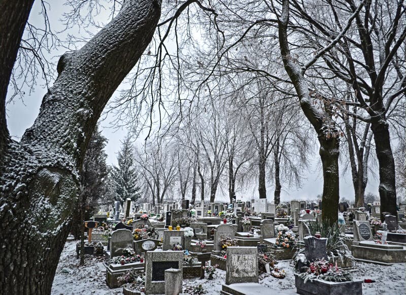 Cemetery in winter stock image. Image of burial, coffin - 22674047