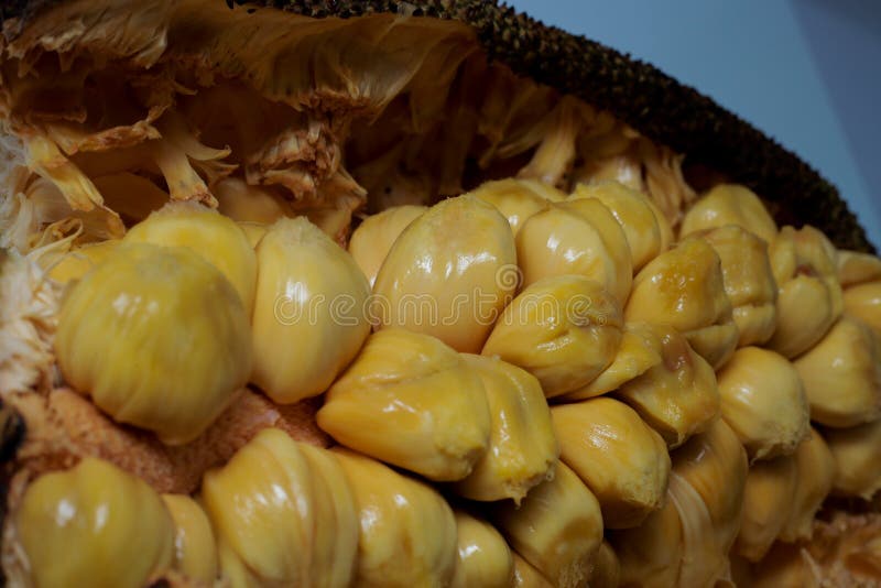 Cempedak Fruit V stock image. Image of nature, green - 34637705