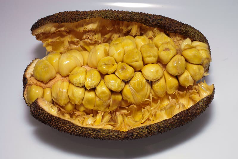 Cempedak fruit stock image. Image of left, cempedak - 124786901
