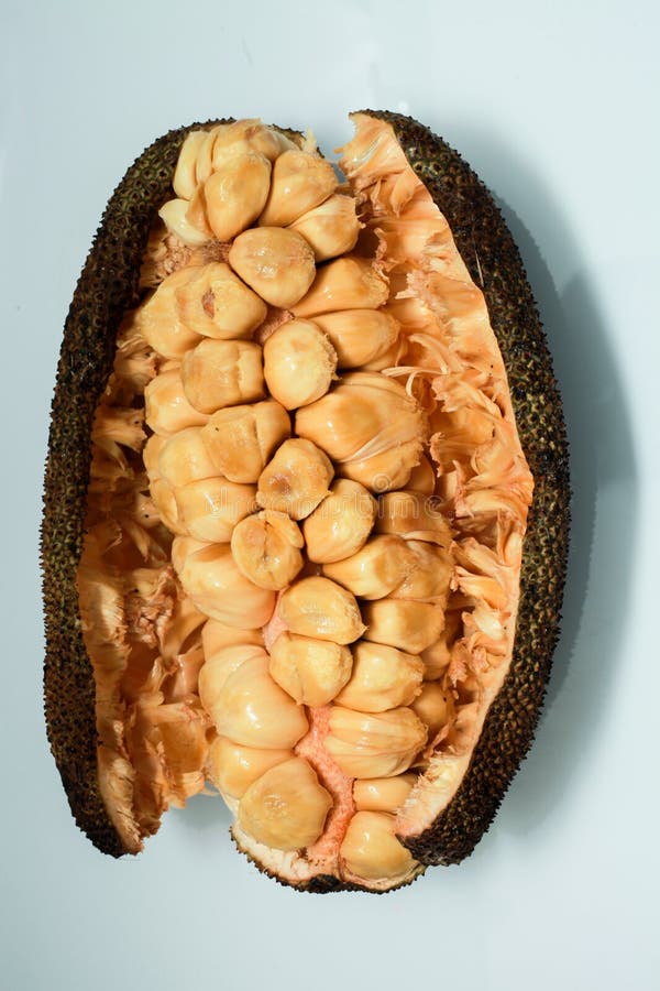 Cempedak Fruit III stock photo. Image of fibrous, sweet - 34637654