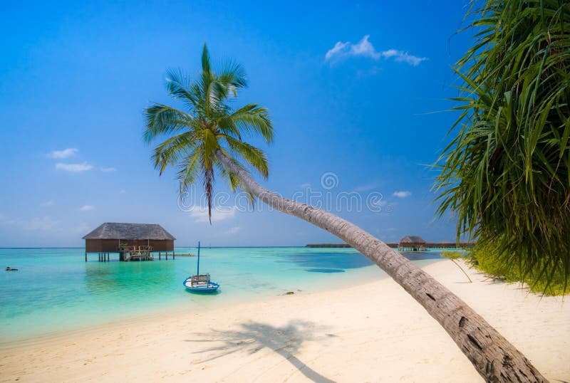 Cenário tropical da praia foto de stock. Imagem de sonho - 9275488