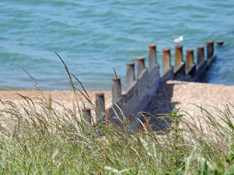 Cena Do Quebra-mar Do Litoral Foto de Stock - Imagem de litoral, cenas ...