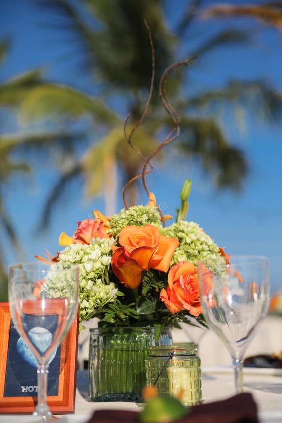 Comida tropical foto de archivo. Image of exterior, cristal - 27901698