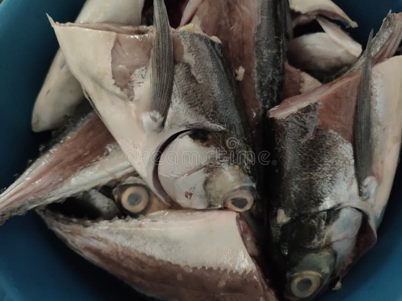 Cencaru Fish that Has Been Cleaned and Cut for Cooking Stock Image ...