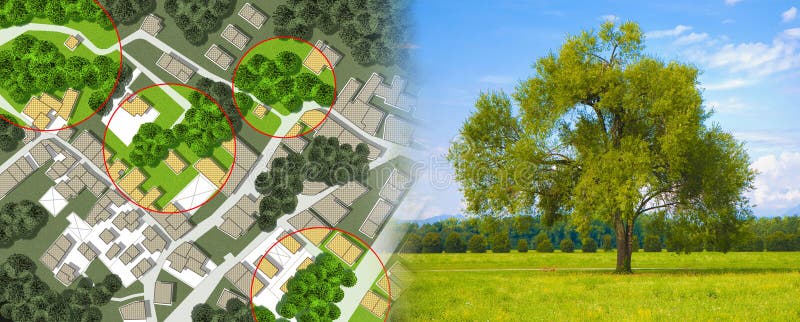 Census of Trees in Cities - Green Management and Tree Mapping Concept ...