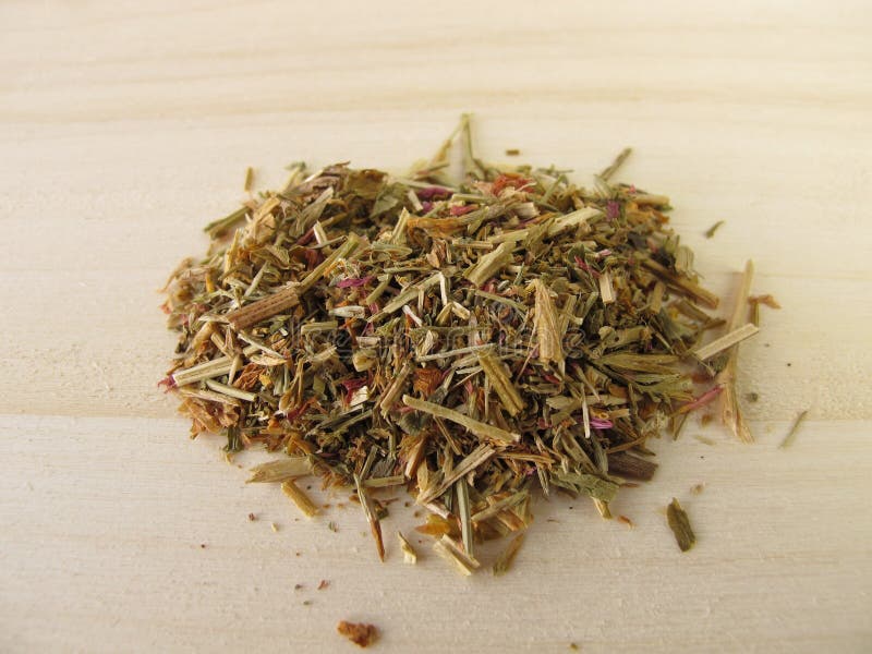 Centaury, Centaurii herba stock photo. Image of medicinal - 23554836