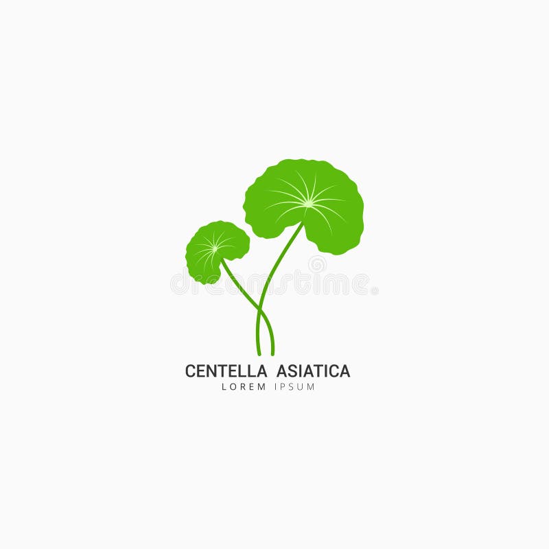 Centella Stock Illustrations – 279 Centella Stock Illustrations ...