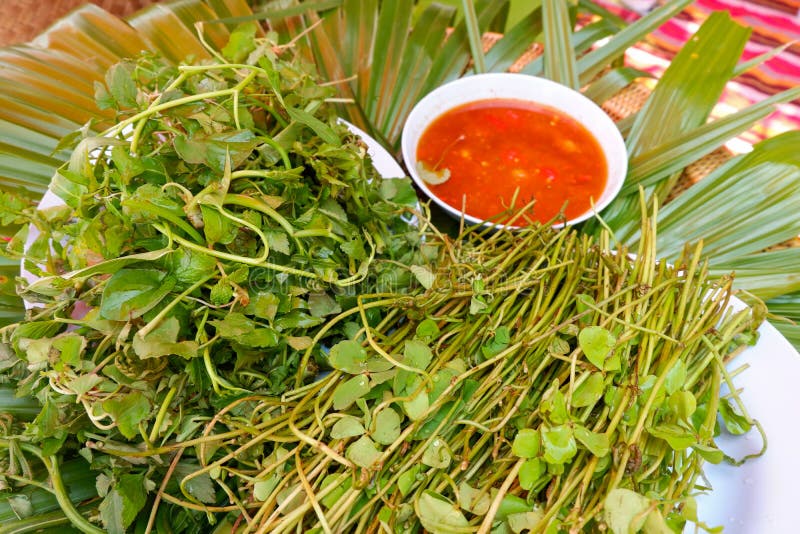 Centella Asiatica and Vegetables Stock Image - Image of aminobutyric ...