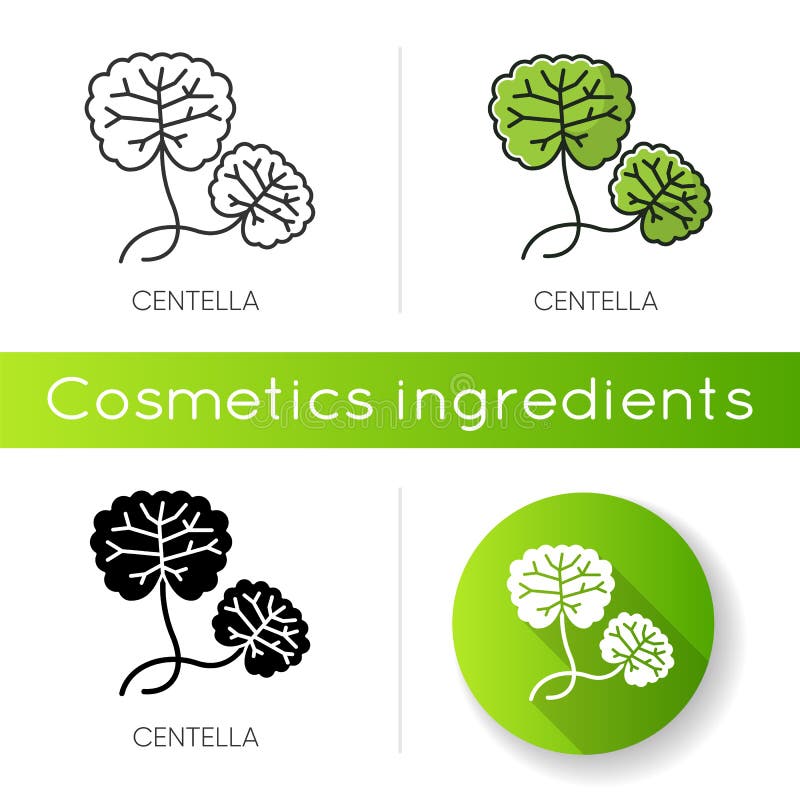 Centella Icon. Healing Plant. Herbal Component. Natural Skincare ... Centella Icon. Healing Plant. Herbal Component. Natural Skincare ...