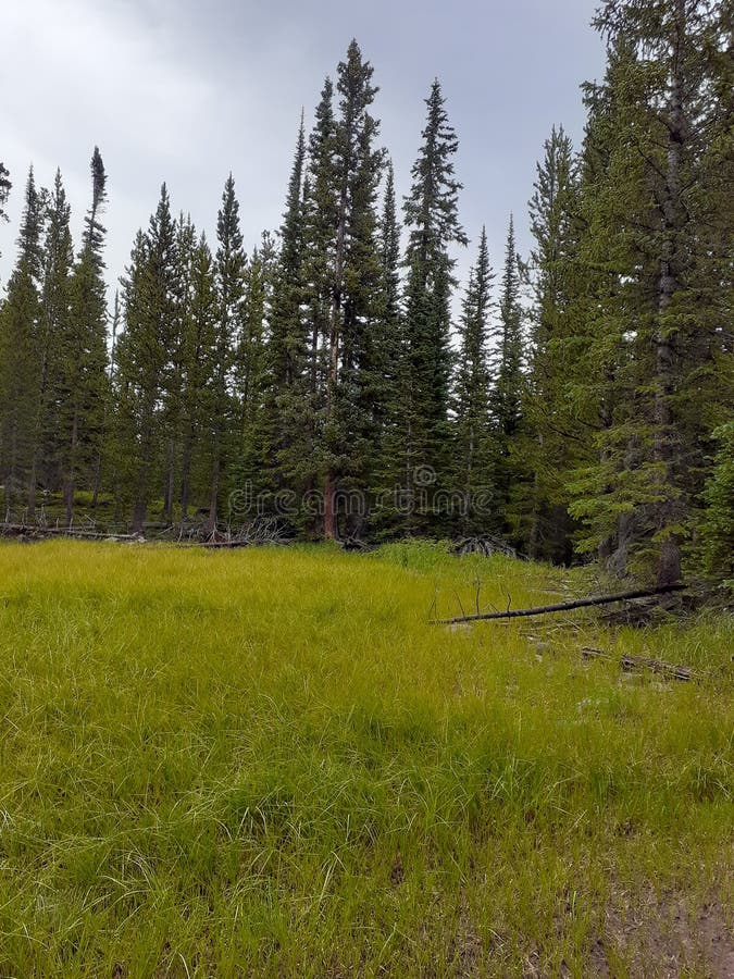 Centennial, Wyoming Scenic Summer Drive Stock Photo - Image of summer ...