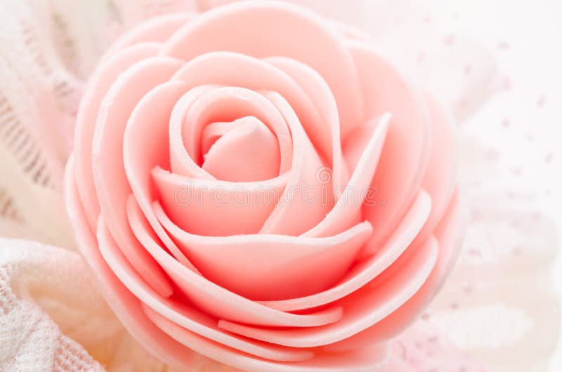 Center of Beautiful Pink Rose. Stock Photo - Image of freshness ...