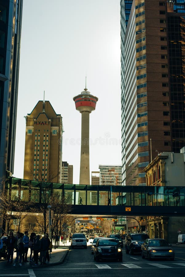 Center of Calgary`s Downtown, CN-Tower and Skyscrapers, Canada ...