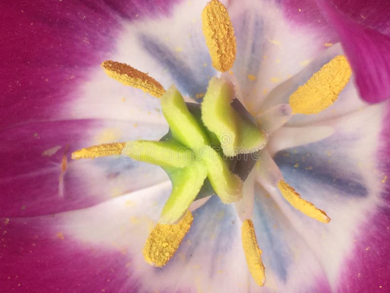 Center close up editorial stock image. Image of center - 52977429