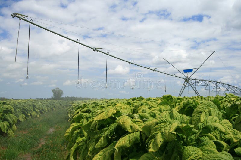 Center-Pivot Irrigation Waterwheel Circle Farm Field Agriculture Stock ...