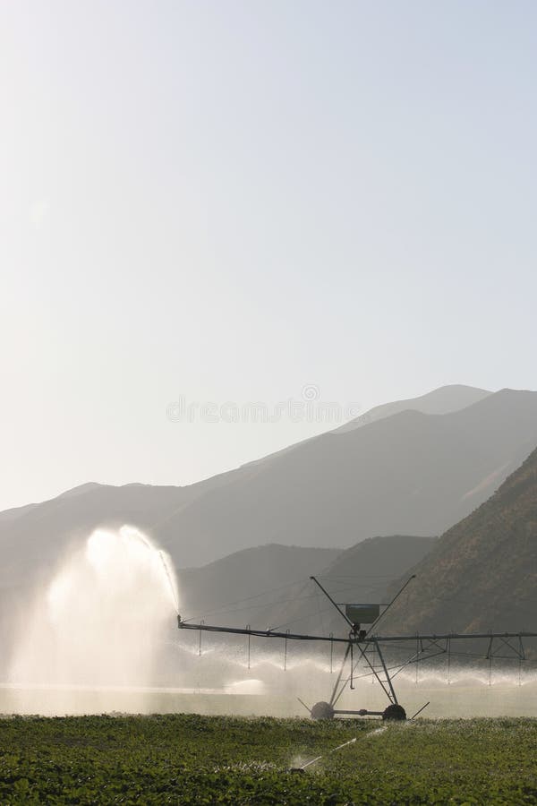 Center-pivot irrigation stock image. Image of green, farming - 5521129