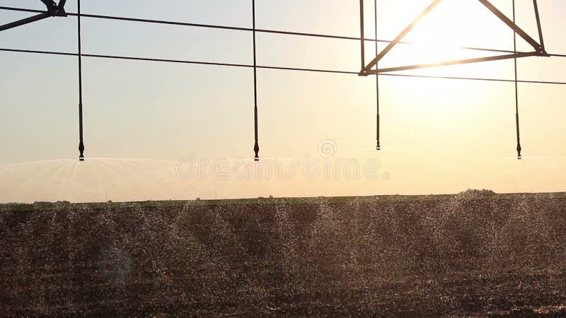 Center Pivot Irrigation at Sunset 3 Stock Footage - Video of drop ...