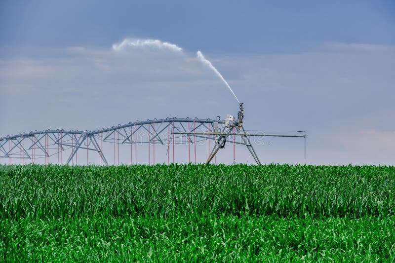 Center Pivot Irrigation System in a Cornfield Stock Photo - Image of ...