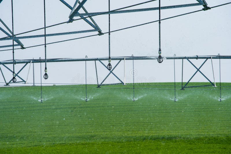 Center Pivot Irrigation System in a Green Field Stock Photo - Image of ...