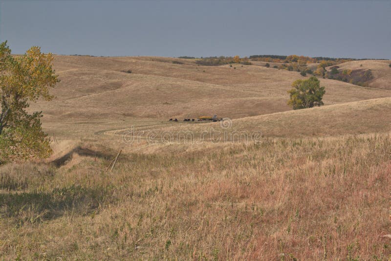 Fall Colors on a Farm Building Stock Photo - Image of trees, beauty ...