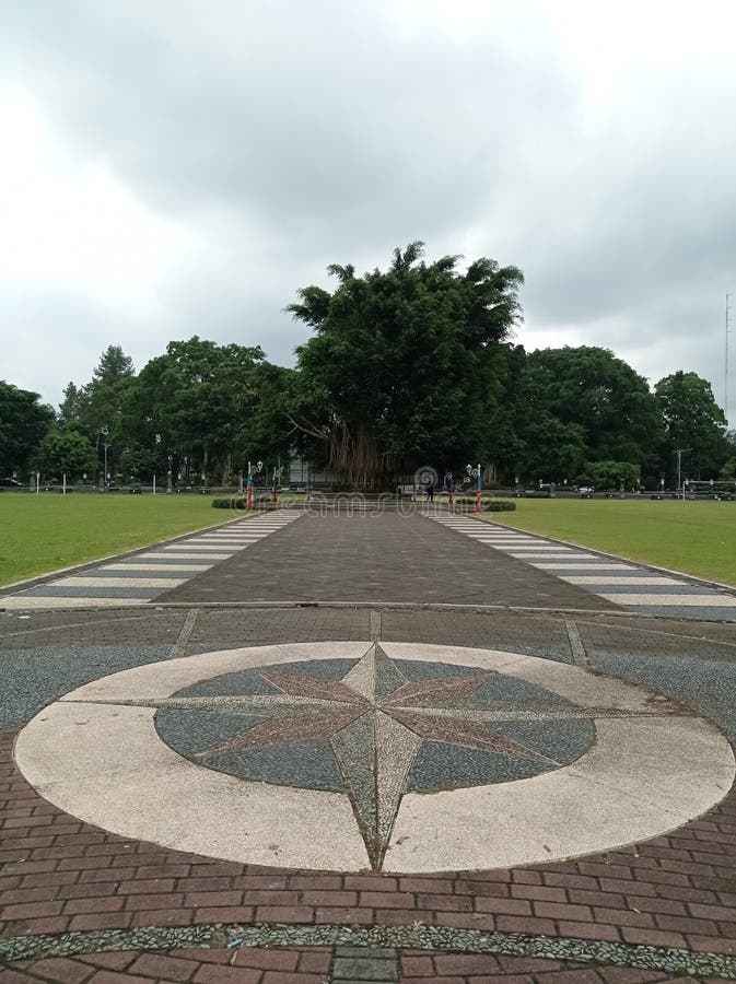 Center Point of the Pedestrian and the Big Trees Stock Photo - Image of ...