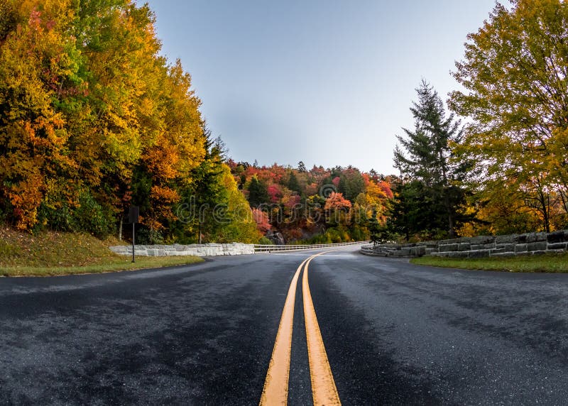 Center of Road in Fall stock photo. Image of driving - 83052394