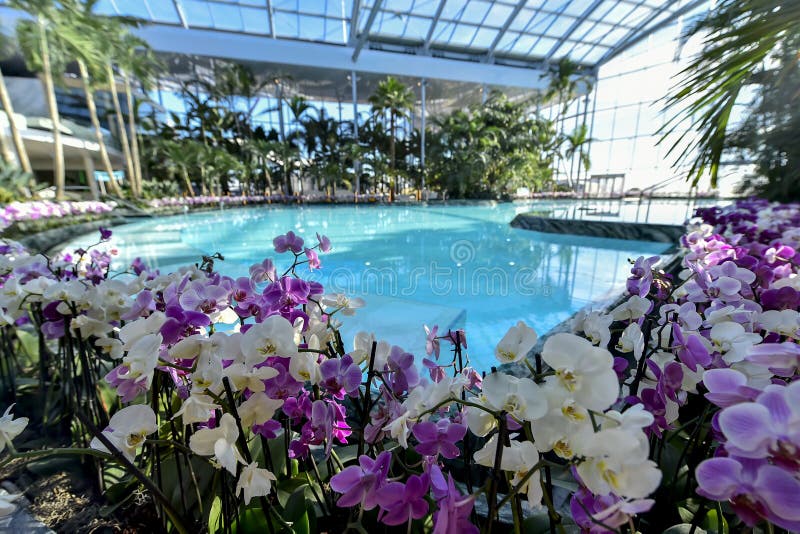 Center of Wellness, Relaxation and Spa Stock Image - Image of green ...