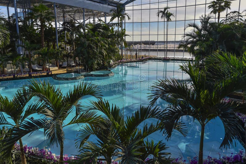 692 Indoor Spa Tree Photos - Free & Royalty-Free Stock Photos from ...