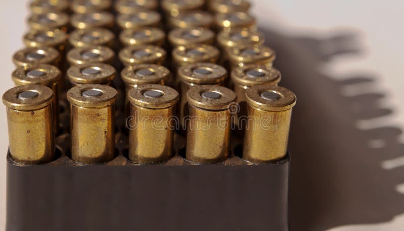 Centerfire .44 Magnum Bullets Lined Up in Their Case Stock Photo ...