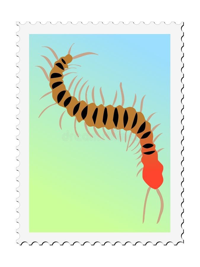 Centipede Stock Illustrations – 3,996 Centipede Stock Illustrations ...