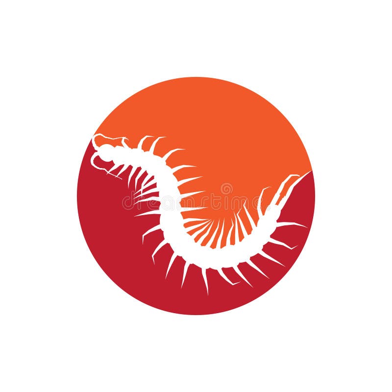 Centipede icon stock vector. Illustration of pest, white - 323935047