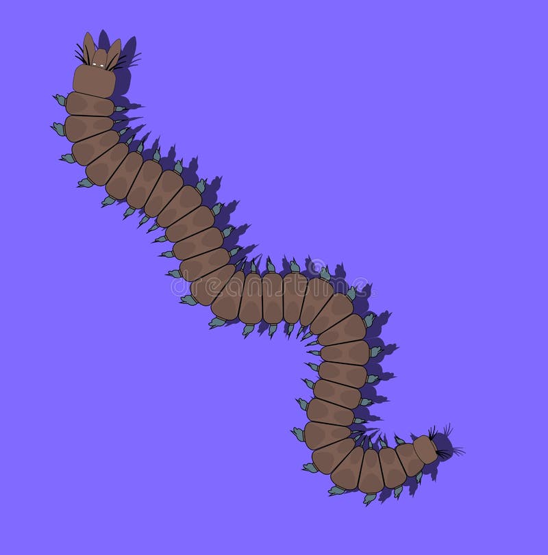 Centipede Insect Crawling stock vector. Illustration of fauna - 94293594