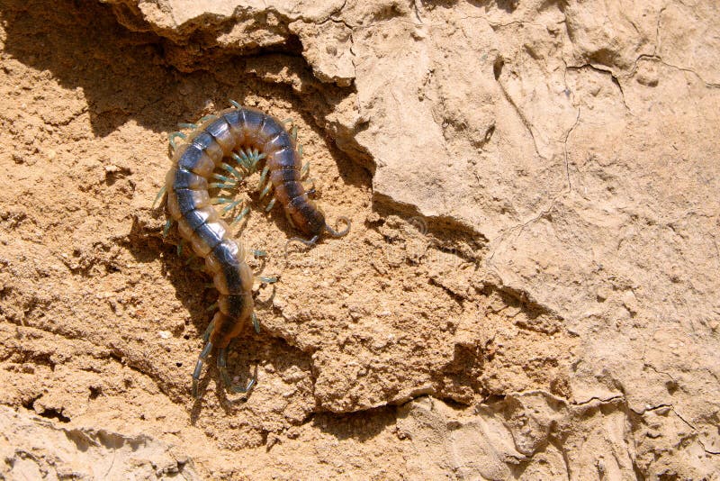 320 Loess Wall Stock Photos - Free & Royalty-Free Stock Photos from ...