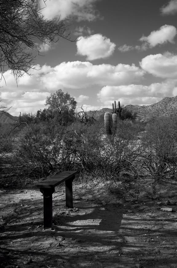 Central Arizona Desert Bench Stock Photo - Image of stately, range ...