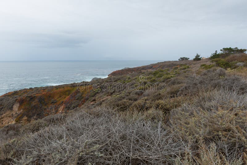 Central California coast stock image. Image of tides - 62014457