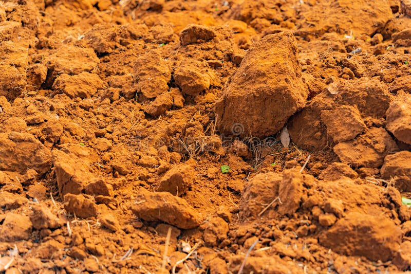 Red soil. stock image. Image of tourism, earth, tropics - 312499915