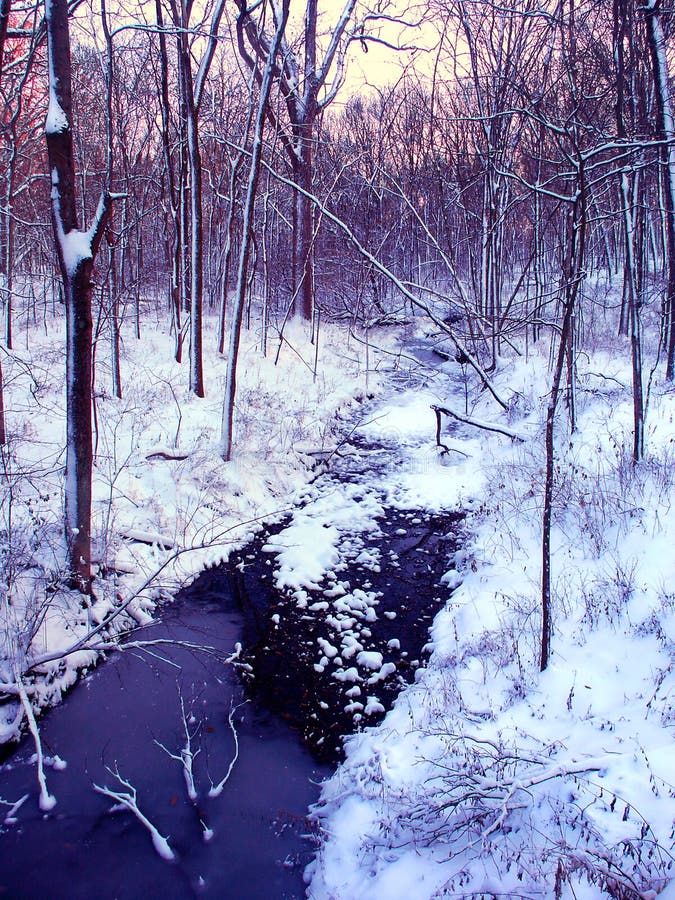 Central Illinois Winter Forest Stream Stock Image - Image of plant ...