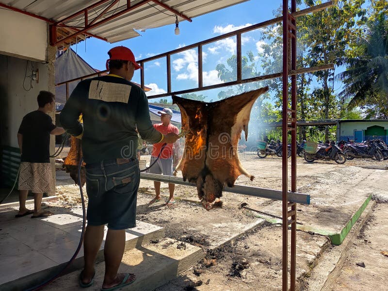 Woman Slaughter Goat Stock Photos - Free & Royalty-Free Stock Photos ...