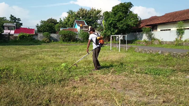 A Worker is Mowing Grass Using a Lawn Mower on a Sunny Day in Indonesia ...