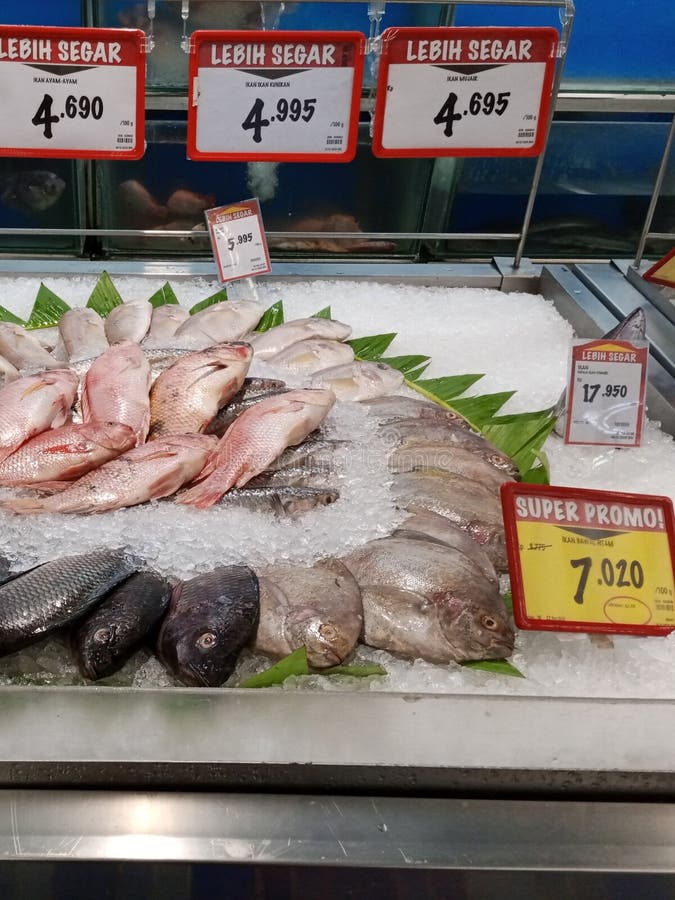 Fresh Seafood, Raw Fish are Arranged on Ice Cubes and Banana Leave on ...