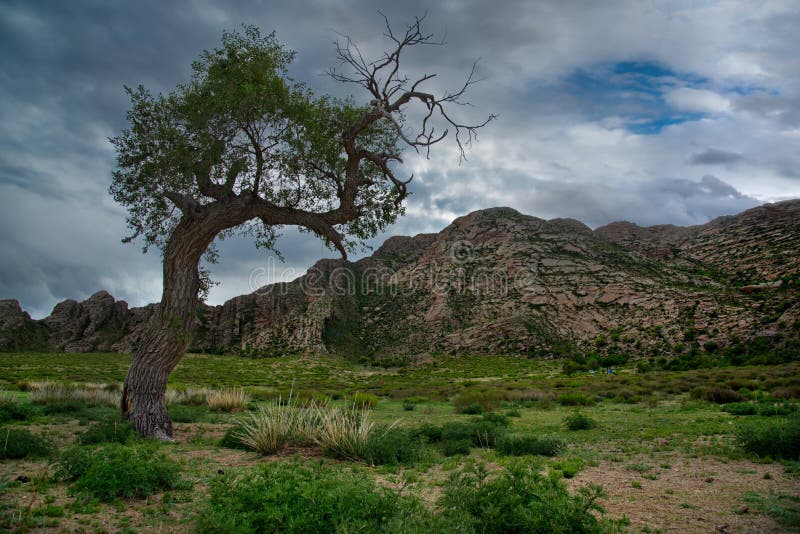 High-mountain Steppes of Mongolia Stock Image - Image of steppe ...