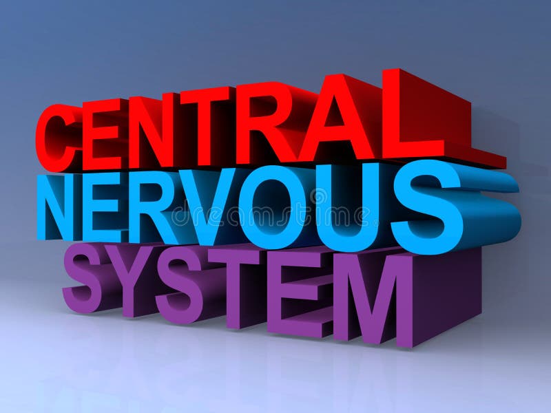 Central nervous system stock vector. Illustration of brain - 229443307