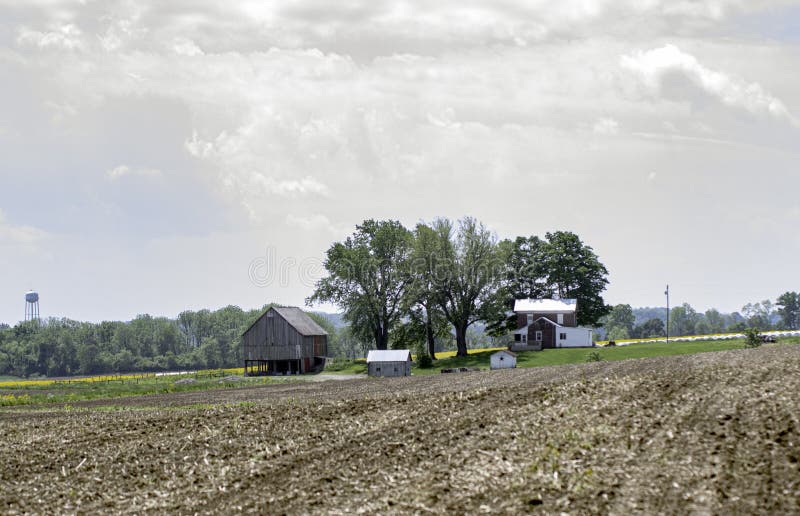 Isolated Farmstead in Tuscan Fields Stock Photo - Image of cypress ...