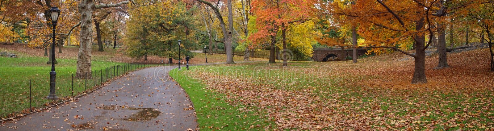 Central Park in spring stock image. Image of season, buildings - 13322017