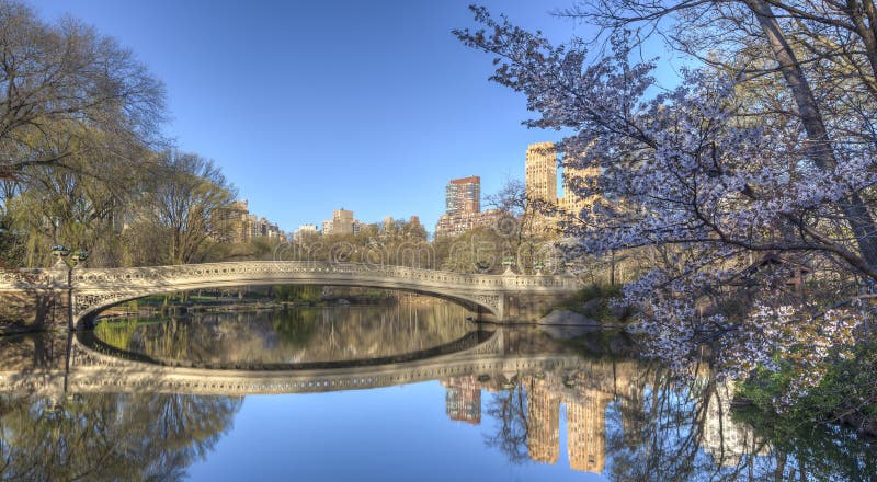 Central Park Bow Bridge Spring Stock Image - Image of early, flowers ...