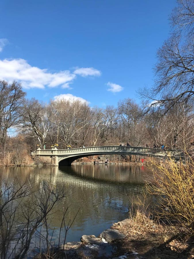 Central Park bridge stock photo. Image of travel, park - 264367226
