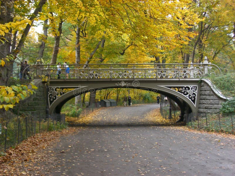 Central Park Bridge & Path Stock Photo - Image of ecosystem, seasonal ...