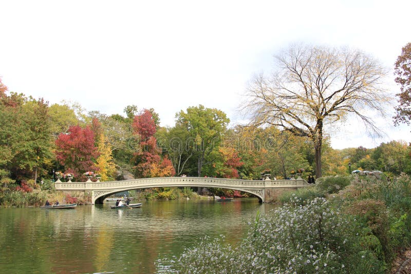 Central park bridge stock photo. Image of park, side - 63052428